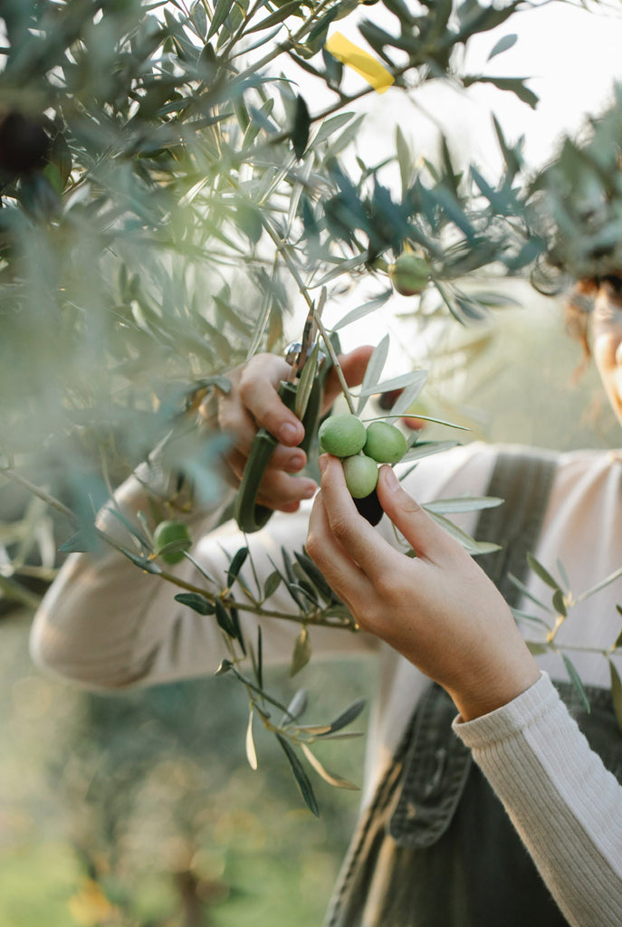 Healed by the Ocean: Our Eczema Healing Mission – HealedByTheOcean